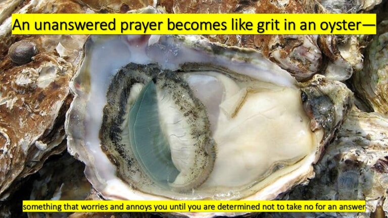 When you pray, move your feet: The Parable of the Persistent Widow ...